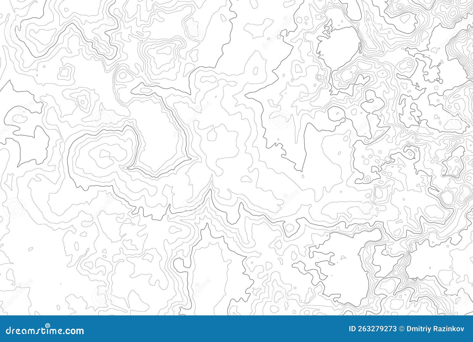 Topographic Map Contour Background. Topo Map with Elevation. Contour ...