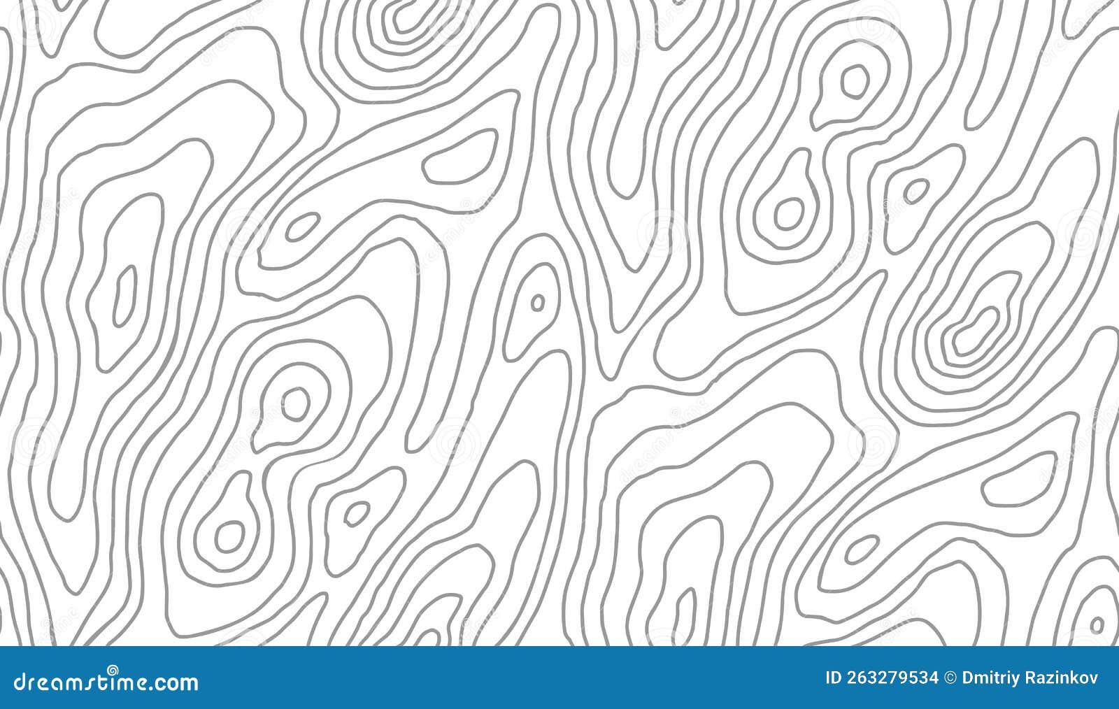 Topographic Map Contour Background. Topo Map with Elevation. Contour ...