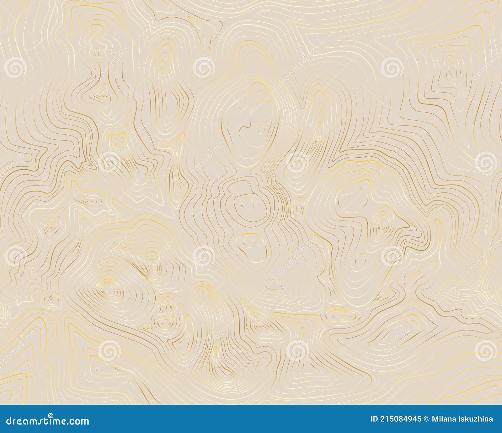 Topographic Altitude Line Map With Attraction Point Seamless Vector Pattern