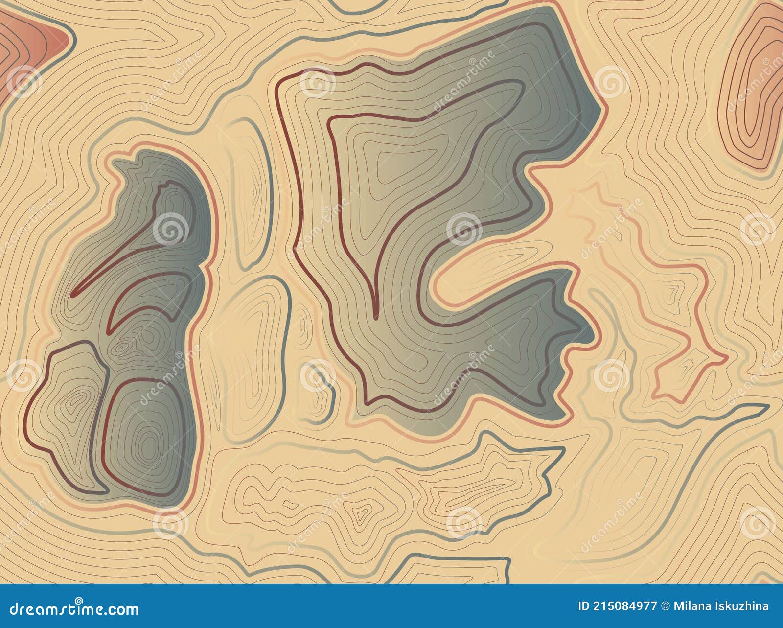 Topographic Altitude Line Map With Attraction Point Seamless Vector Pattern