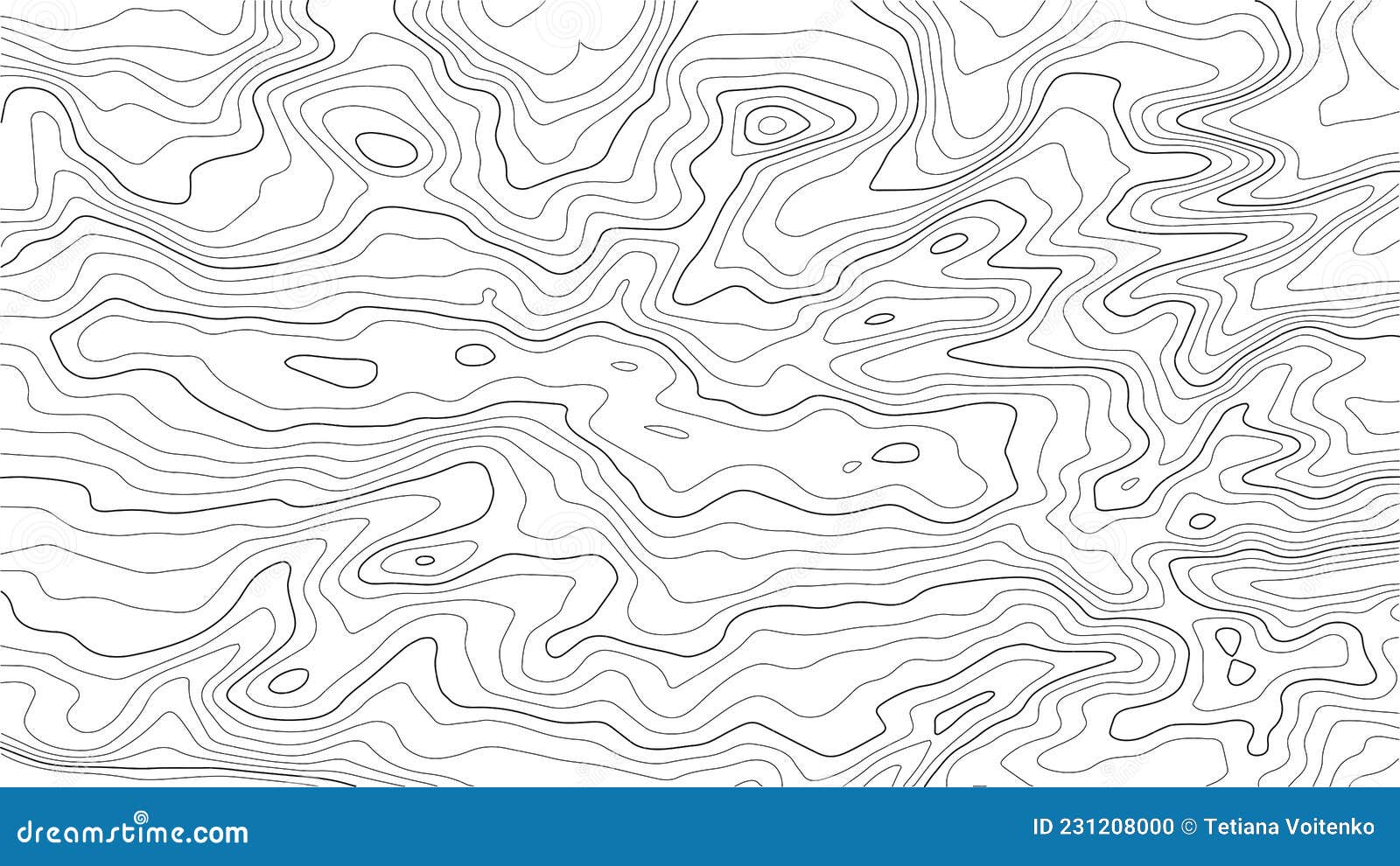 Topographic Map with Lines on a White Background. Geographic Map ...