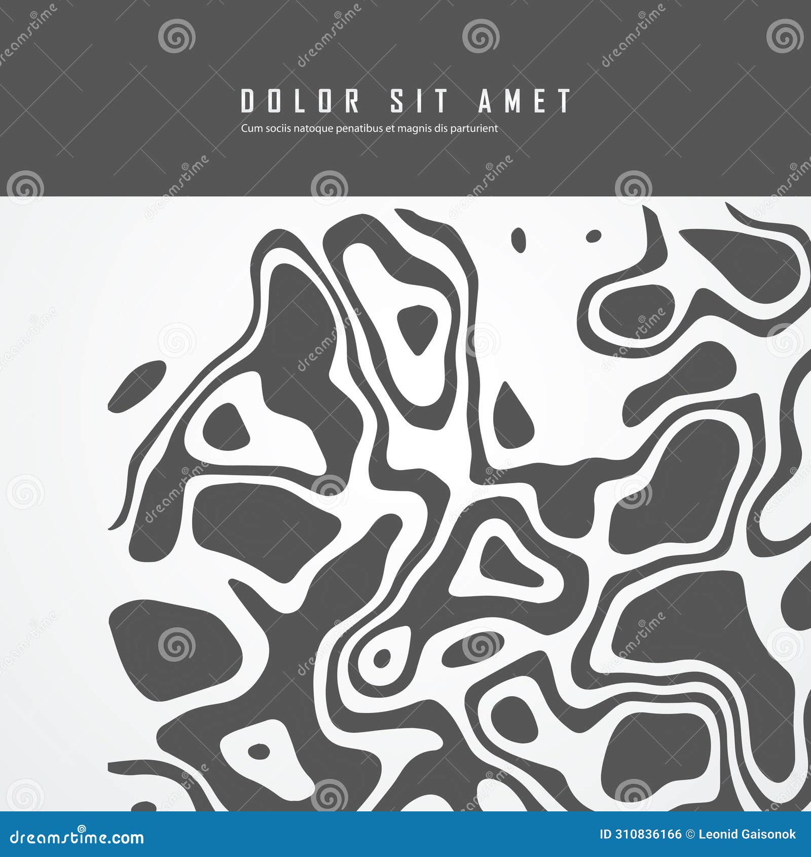 Topographic Map Patterns. Abstract Map Pattern. Topography Line Stock ...