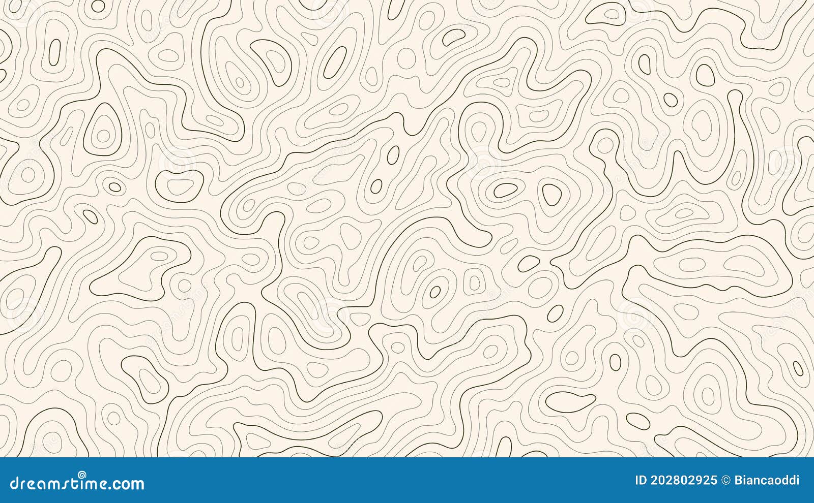 Topographic Map Patterns, Topography Line Map. Vintage Outdoors Style ...