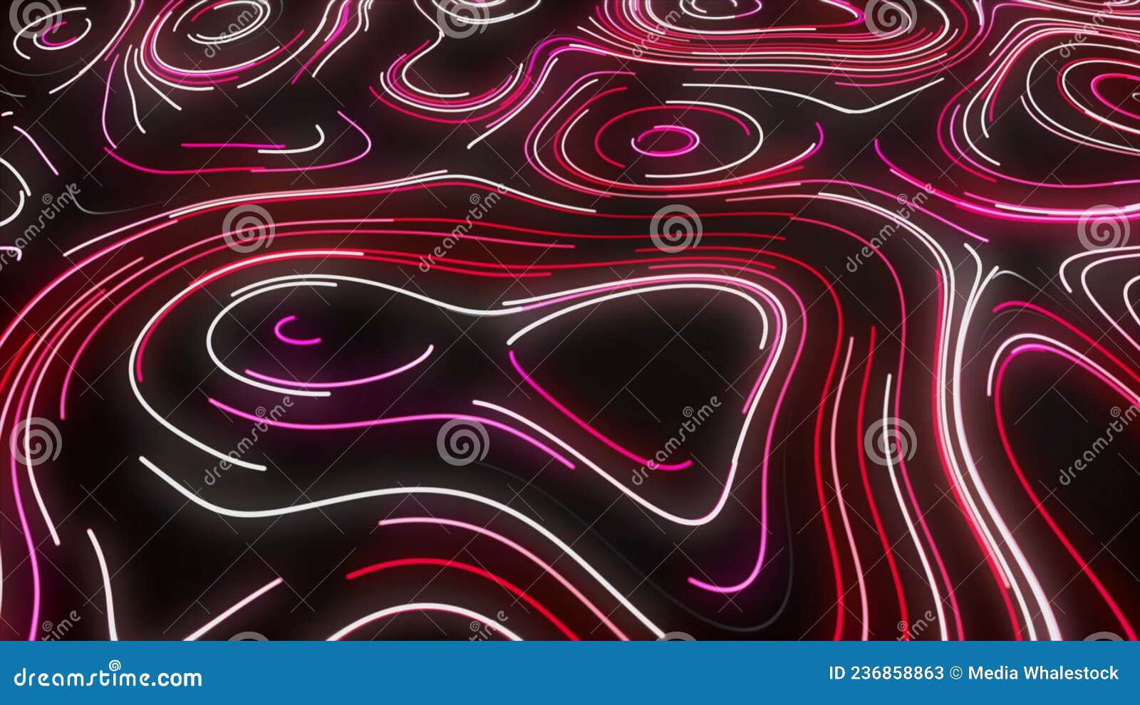 Topographic Pattern of Neon Lines. Motion. Pattern of Moving Neon Lines ...