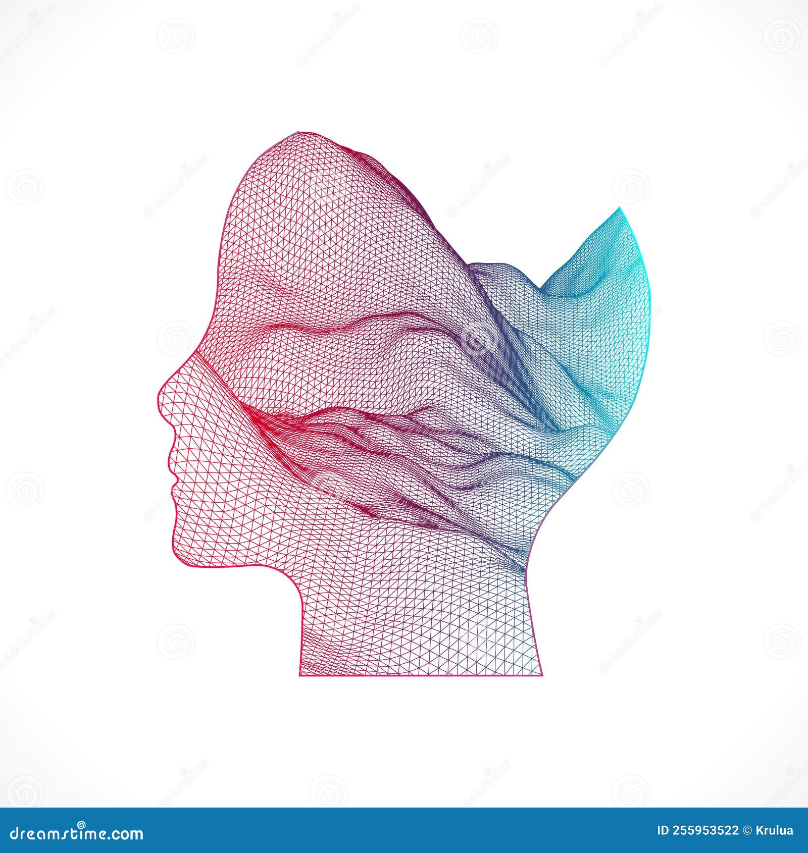 Topography in the Contour. the Human Head is Made in the Style of a ...