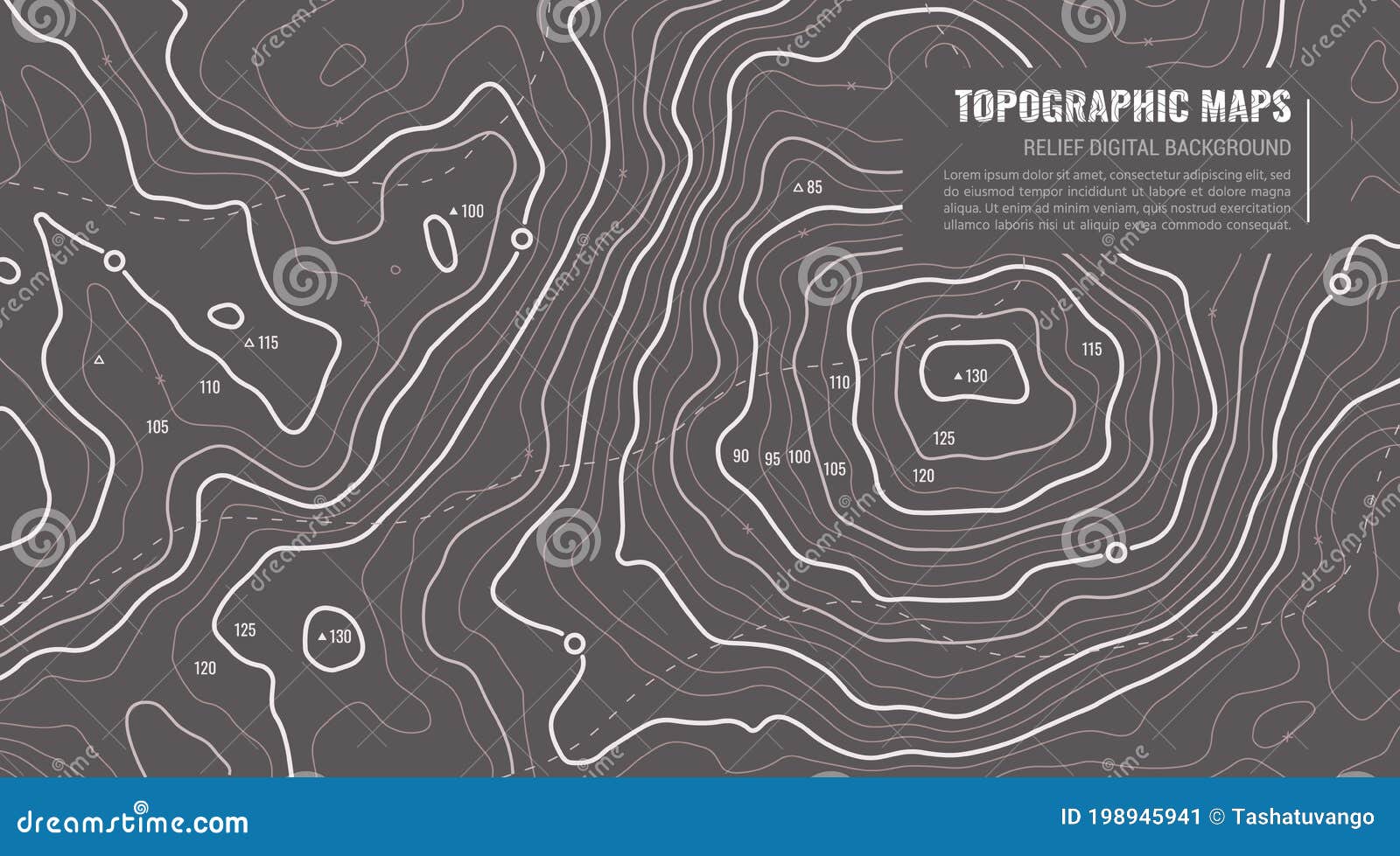 Topography Map Background. Vector Web Banner. Stock Vector ...
