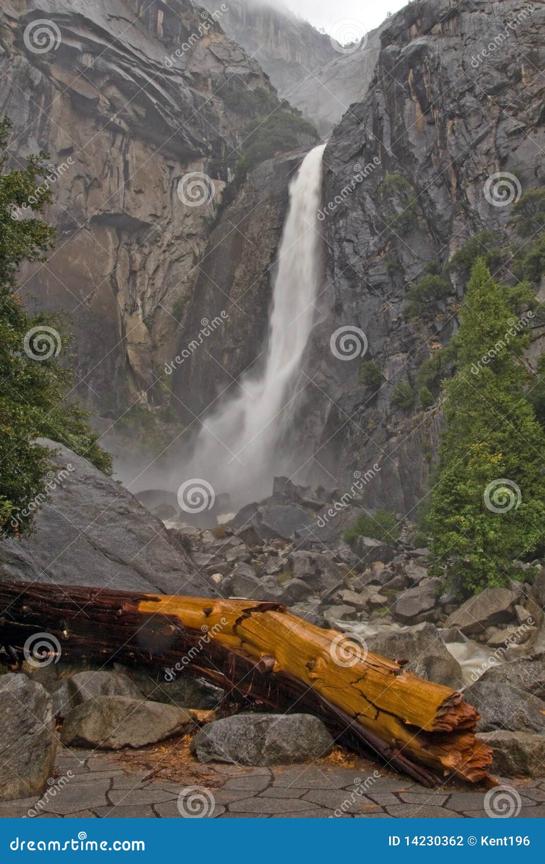 Toppled Tree at Base of Waterfall Stock Photo - Image of river, stream ...