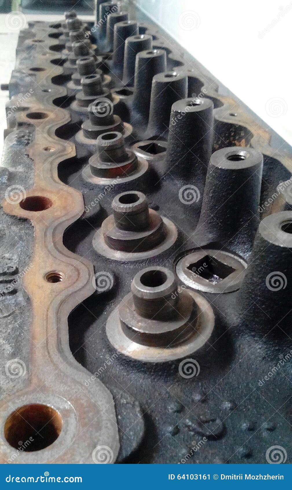 Topplock 6 fotografering för bildbyråer. Bild av kasta - 64103161