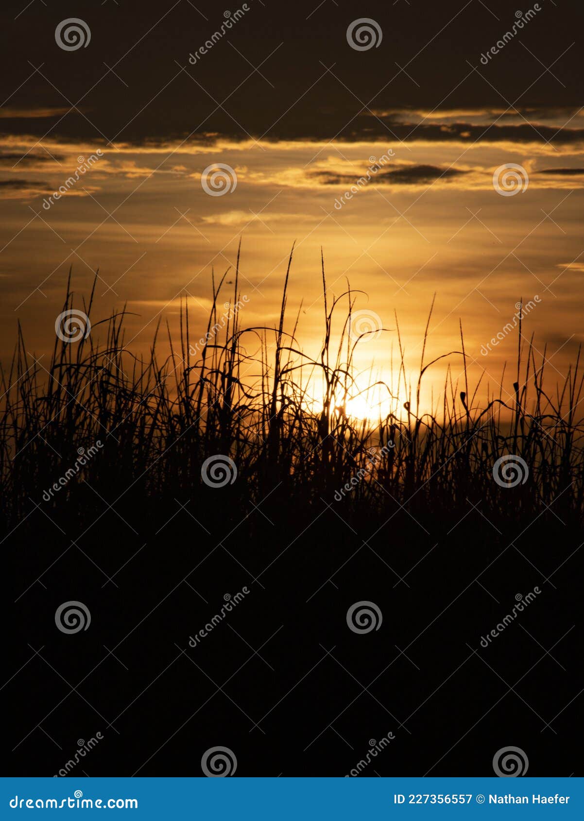 Topsail NC Beach Sunset stock image. Image of nature - 227356557