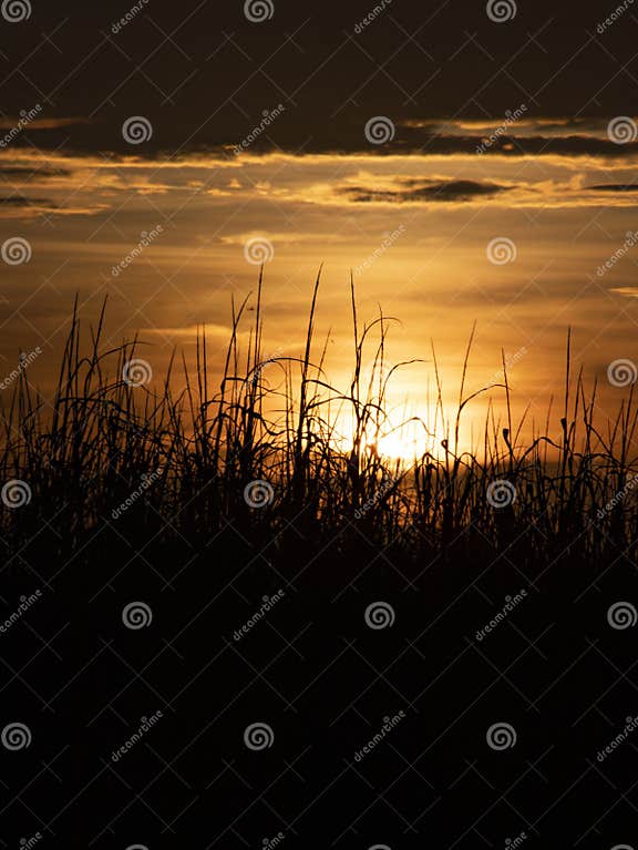 Topsail NC Beach Sunset stock image. Image of nature - 227356557