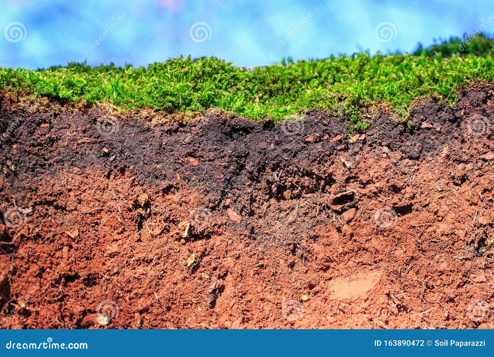 Closeup of a soil stock photo. Image of background, decompose - 163890472