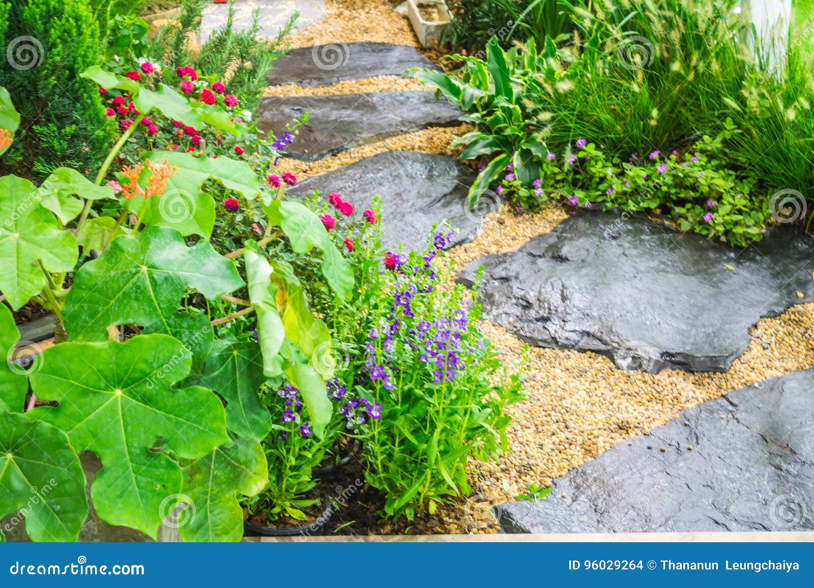 Topview Black Stone Pathway. Stock Photo - Image of nature, lavender ...