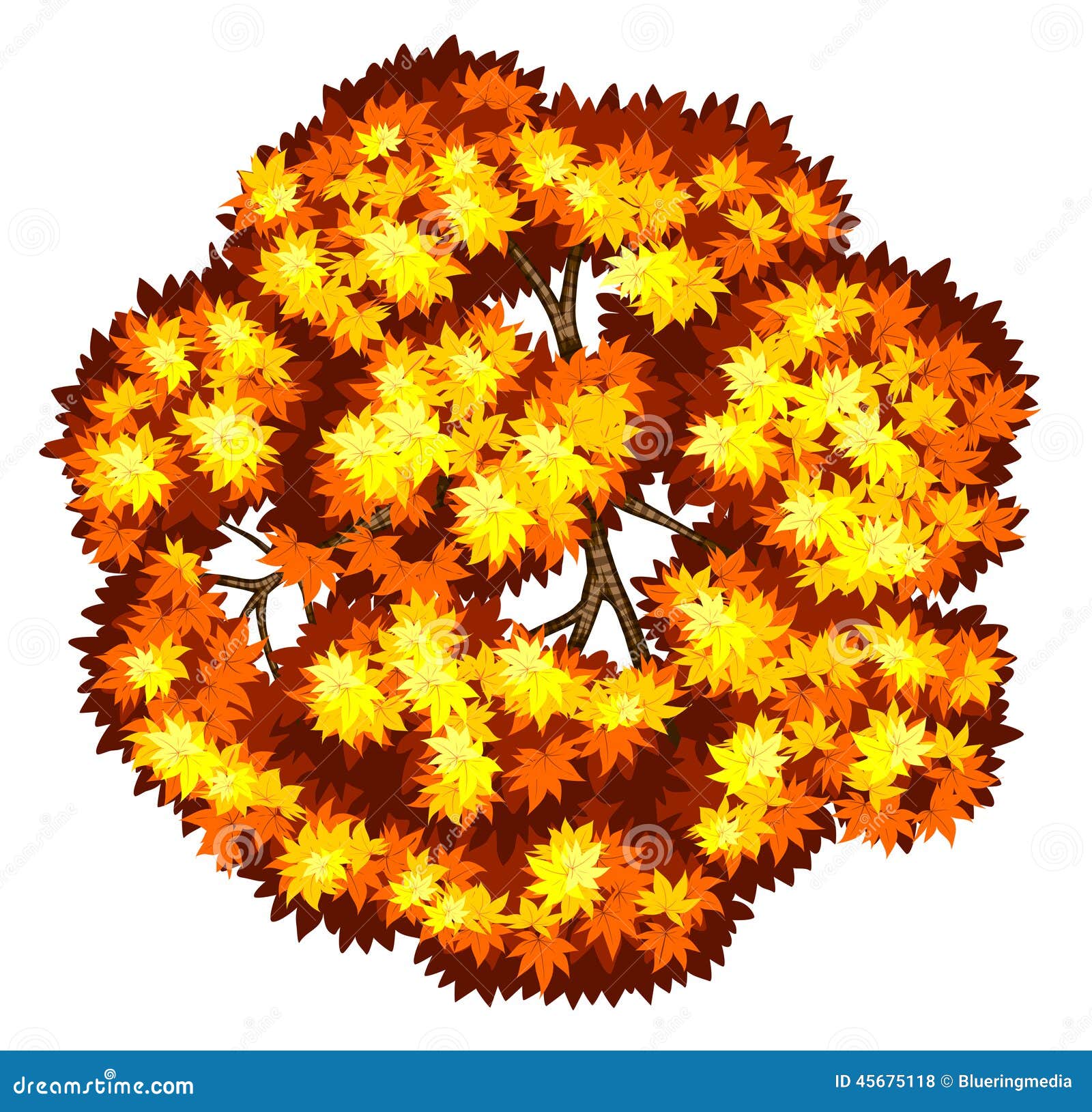 Sapindales Cartoons, Illustrations & Vector Stock Images - 15 Pictures ...