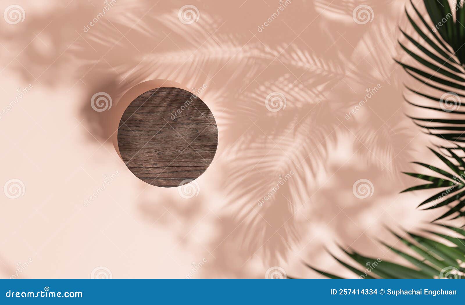 Topview With Colorful Background Snd Tree Stand Or Podium On ...