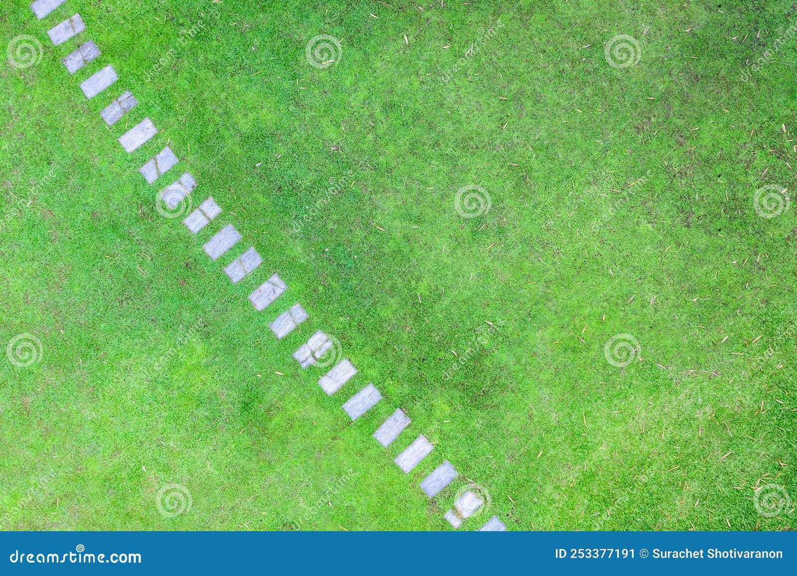 Topview Garden Path Made of Stone Which is Surrounded by Green Grass in ...