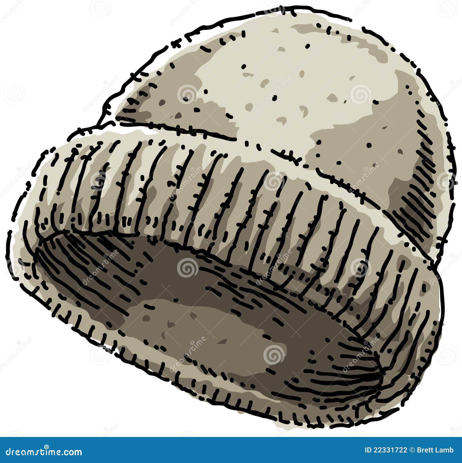 Toque stock illustratie. Illustration of ronde, winter - 22331722