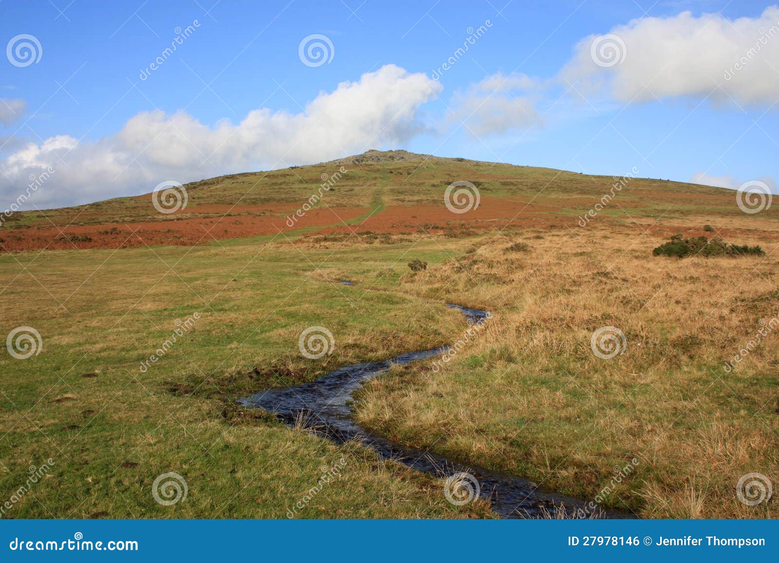 Tor de $cox, Dartmoor foto de archivo. Imagen de salvaje - 27978146