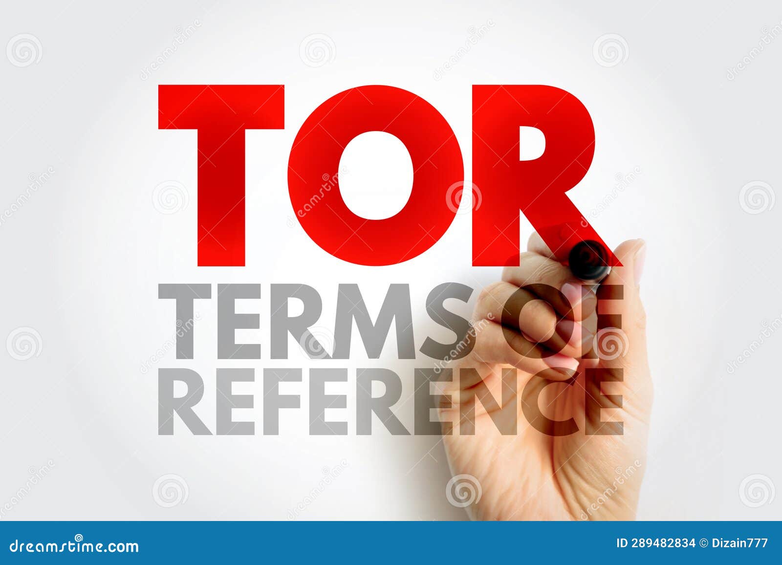 TOR Terms of Reference - Define the Purpose and Structures of a Project ...
