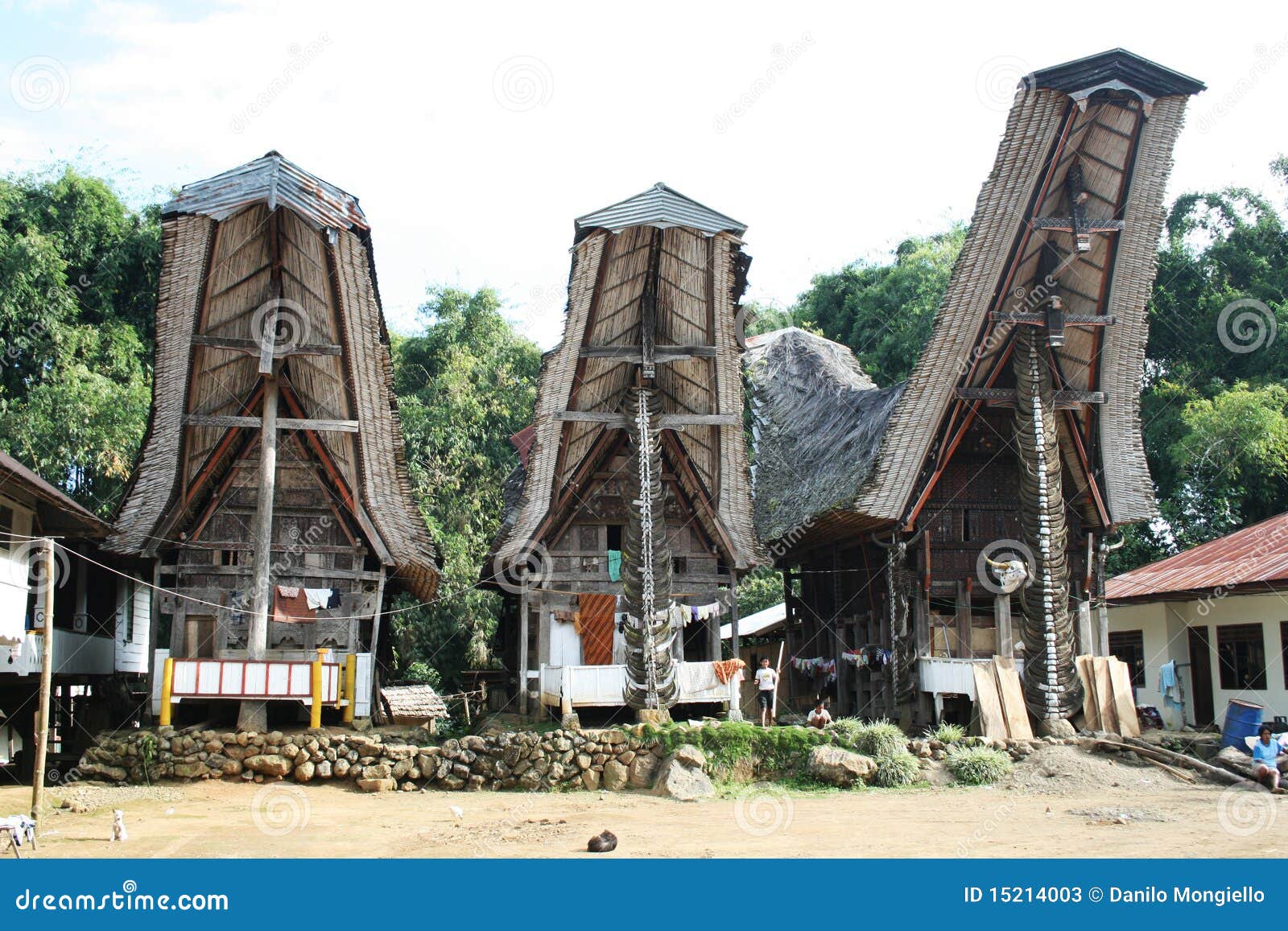 Toraja houses editorial stock photo. Image of houses - 15214003