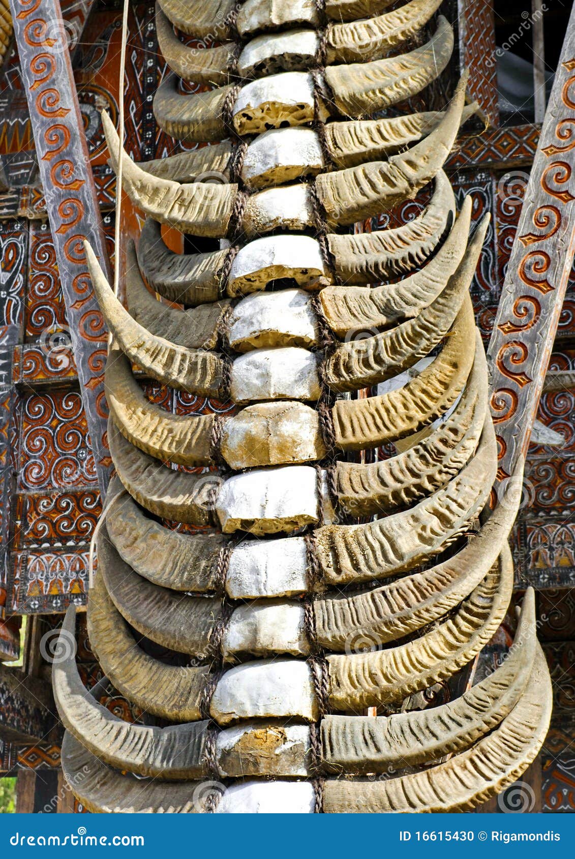 Toraja Traditional Horn House Stock Photo - Image of house, domestic ...