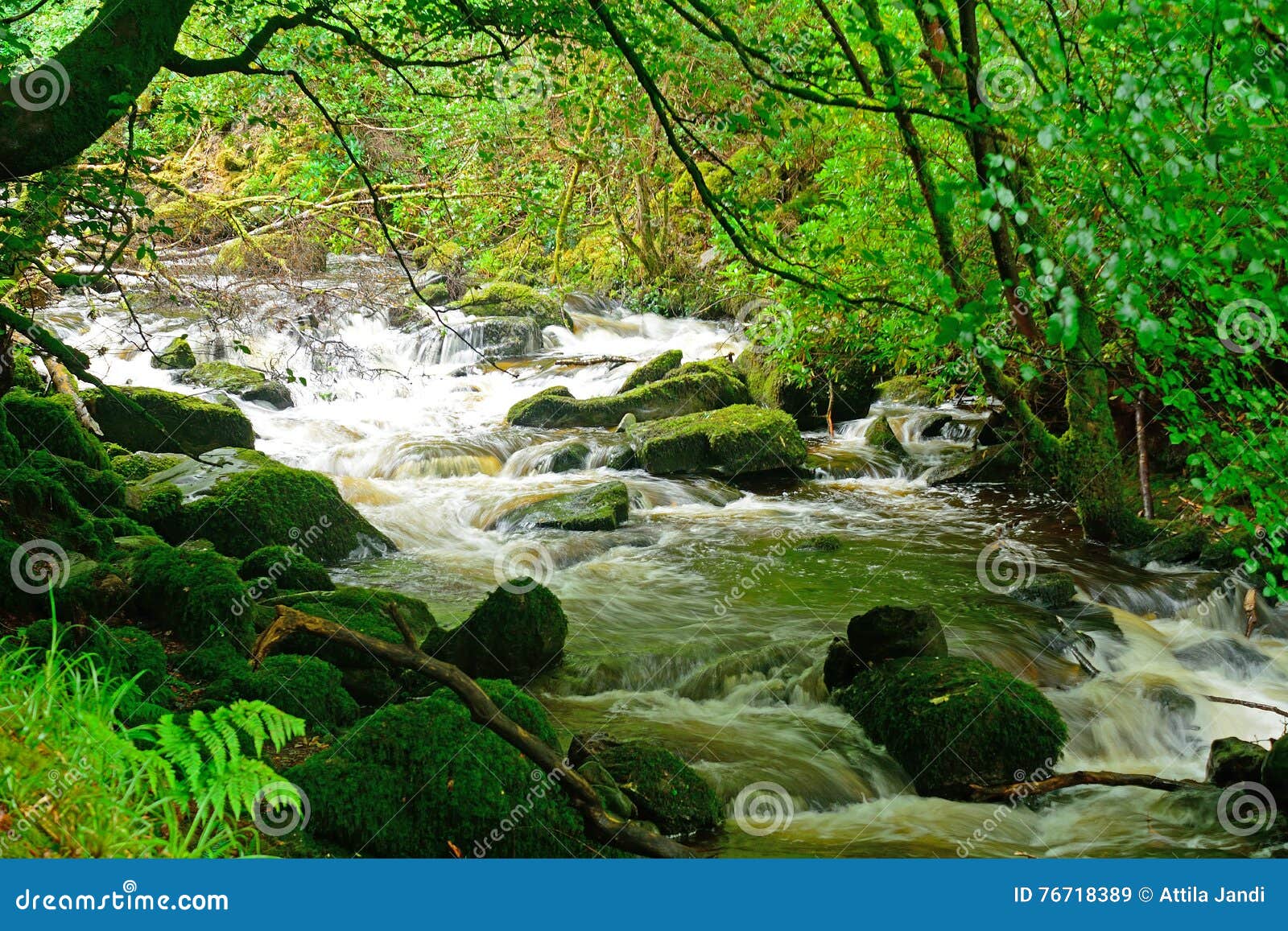 Torc Falls, Killarney National Park, Ireland Stock Image - Image of ...