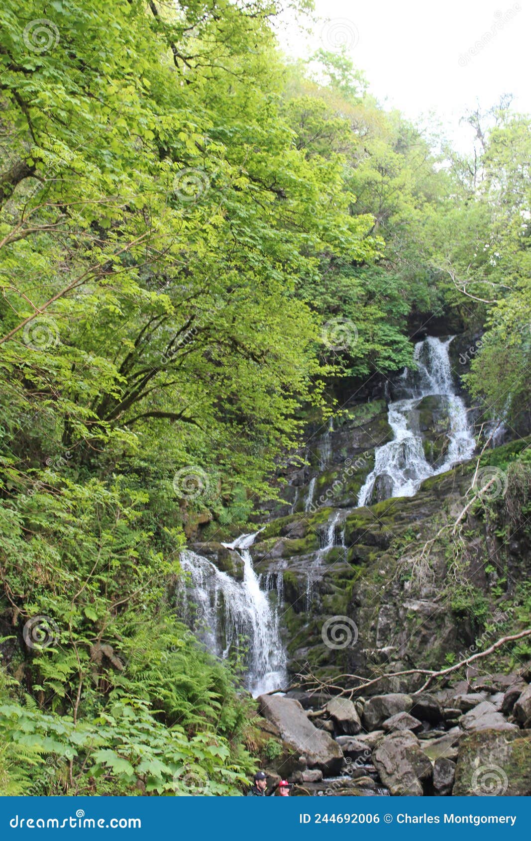Torc Waterfall in Ireland stock photo. Image of rock - 244692006