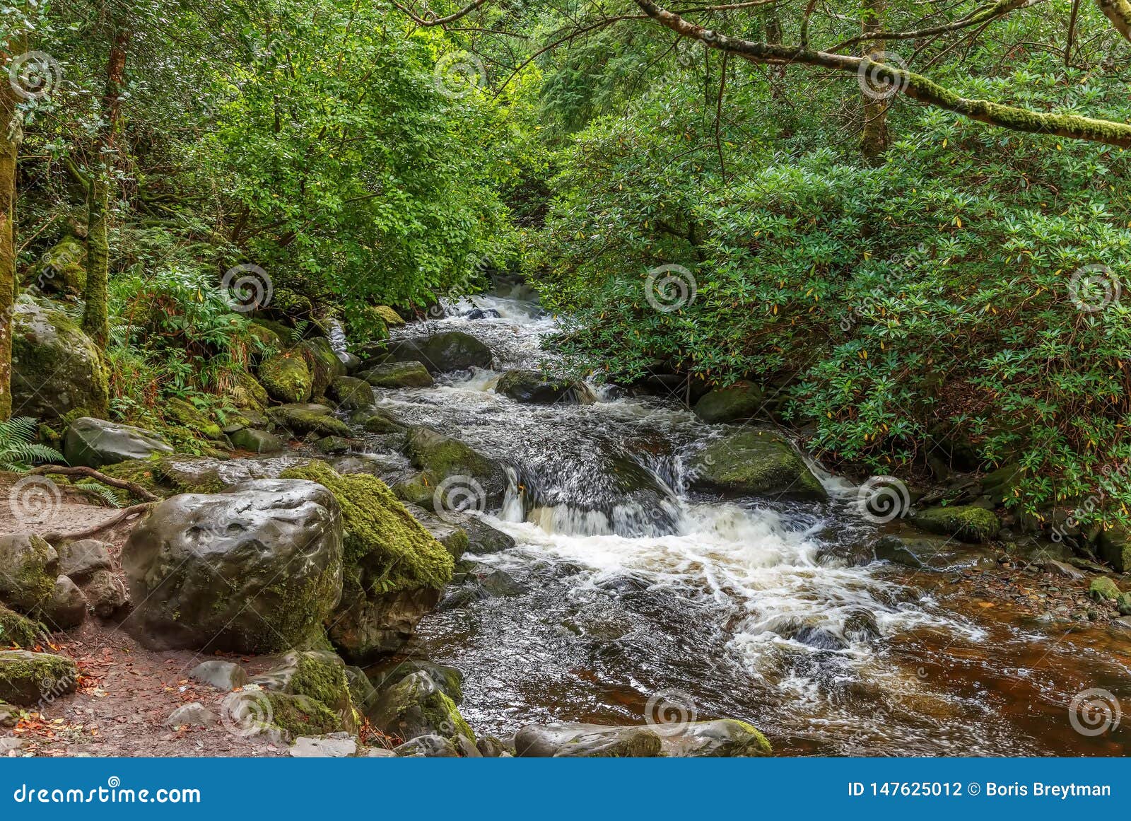 Torc Waterfall, Ireland stock photo. Image of nature - 147625012