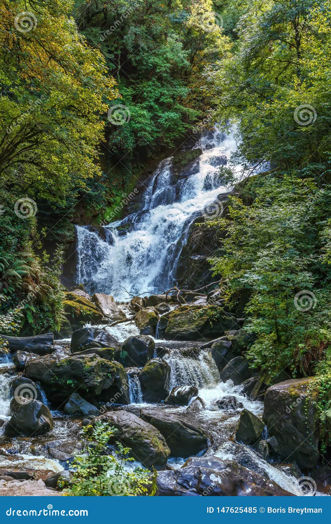 Torc Waterfall, Ireland stock image. Image of river - 147625485