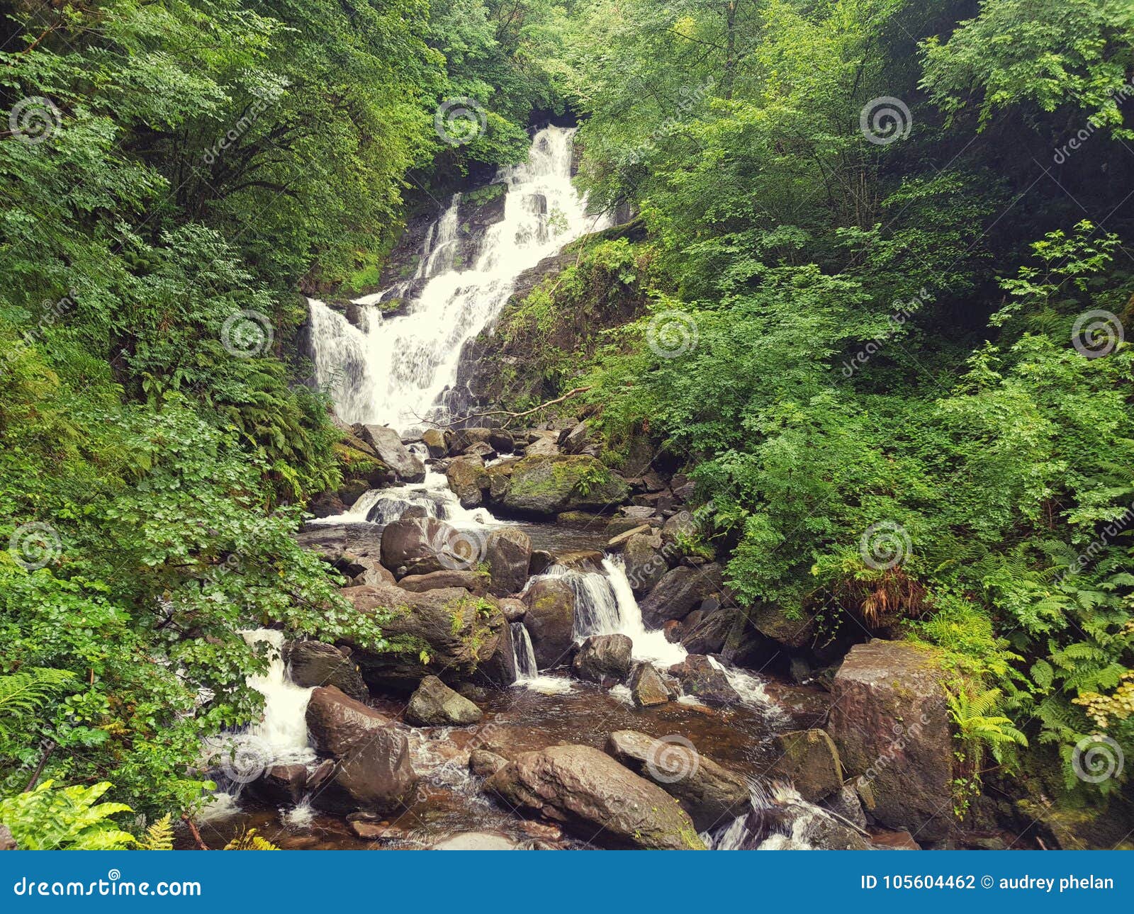 Torc waterfall kerry stock photo. Image of torc, waterfall - 105604462