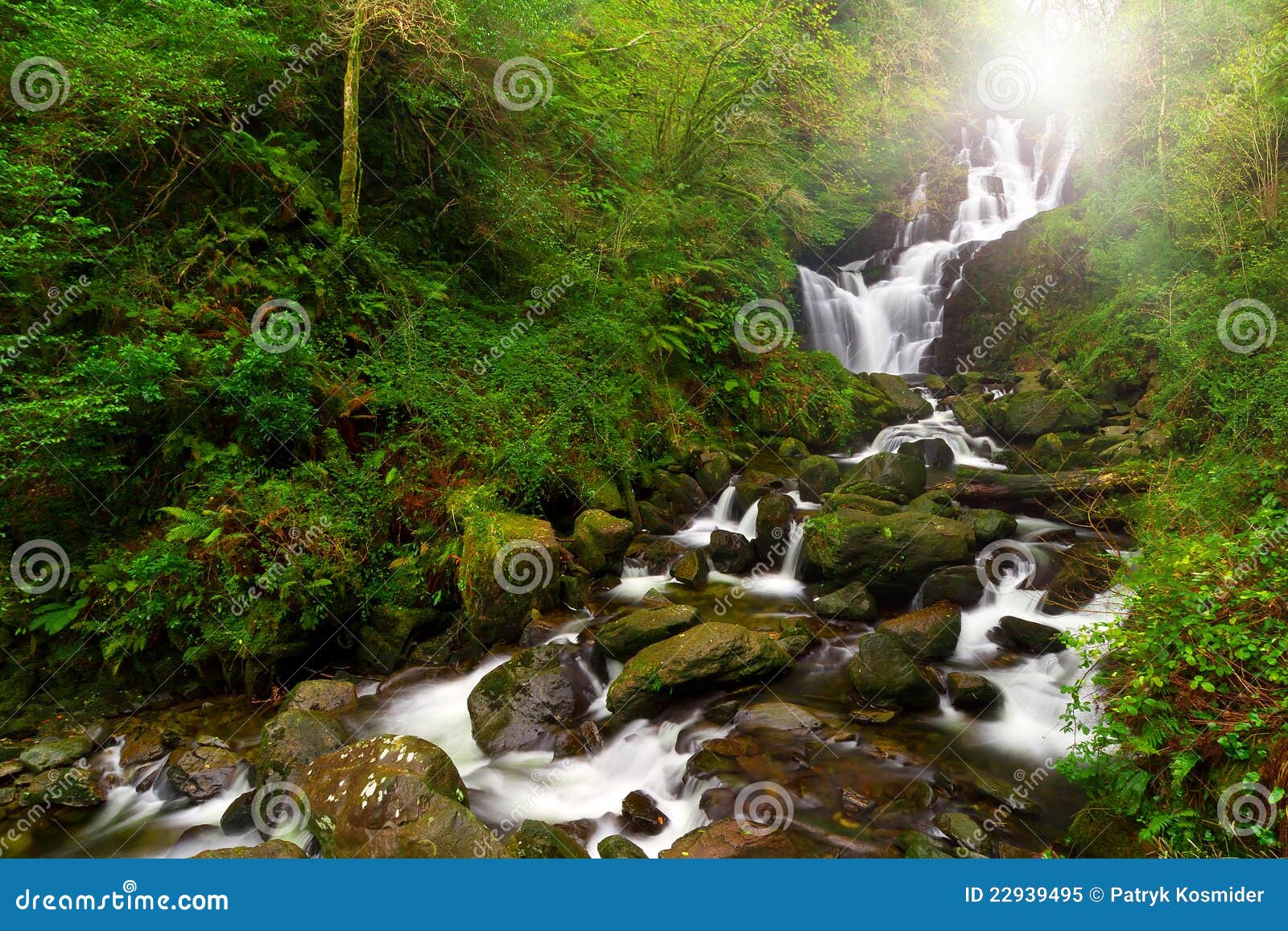 Torc Waterfall in Killarney National Park Stock Image - Image of ...