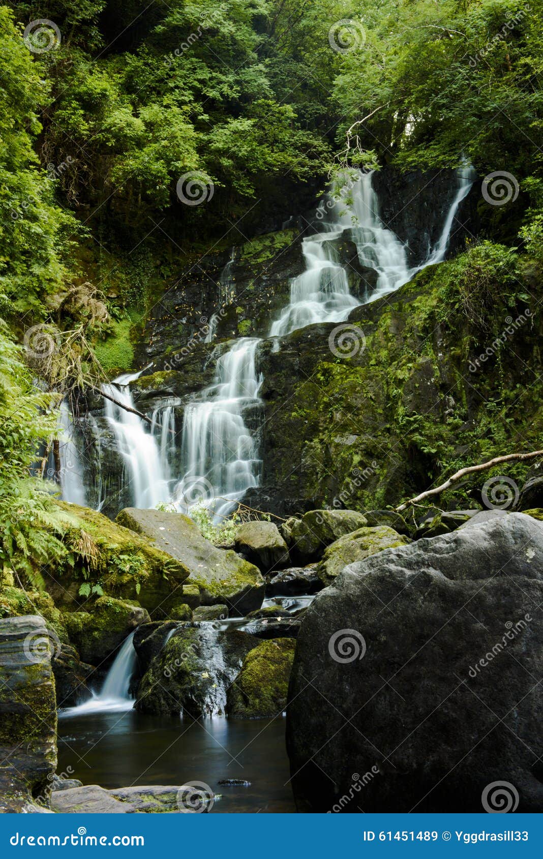 Torc Waterfall in Killarney National Park Stock Image - Image of ...