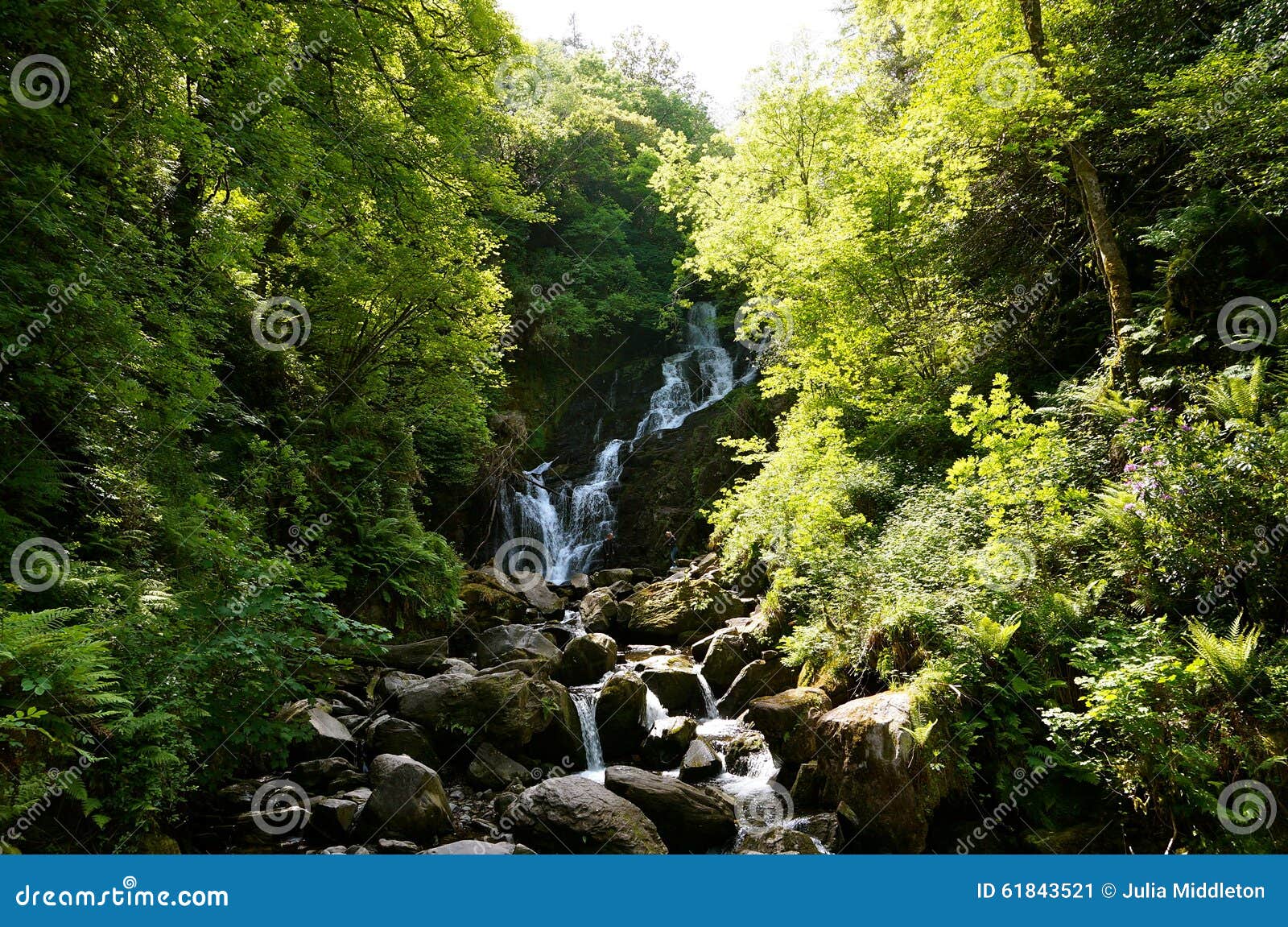 Torc waterfall stock image. Image of trees, water, national - 61843521