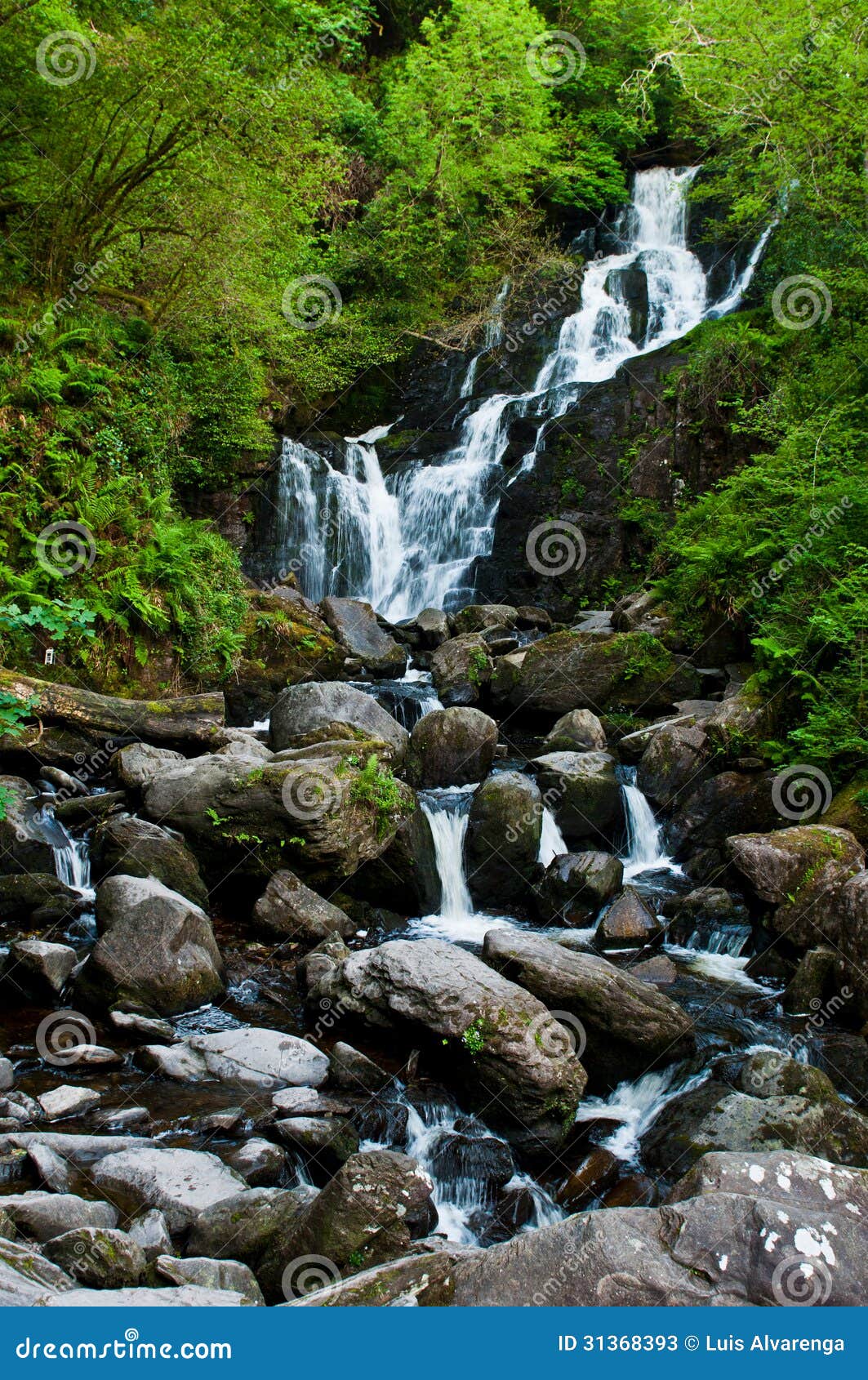 Torc waterfall stock image. Image of flora, runnel, beautiful - 31368393