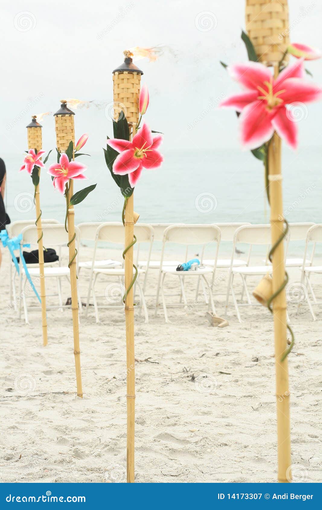 Torce alla spiaggia immagine stock. Immagine di oceano - 14173307