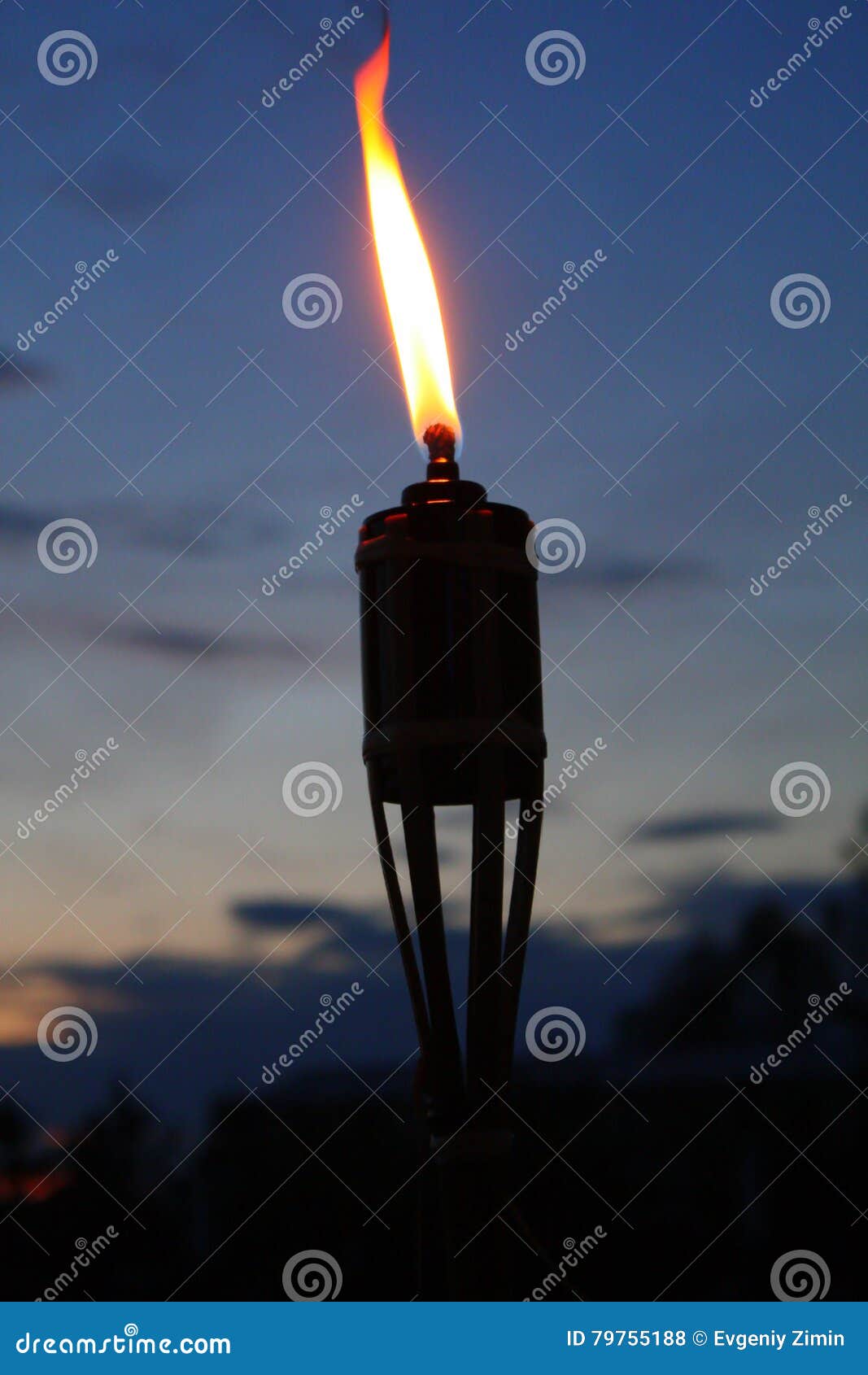 Torch stock photo. Image of torch, link, fire, show, vesper - 79755188