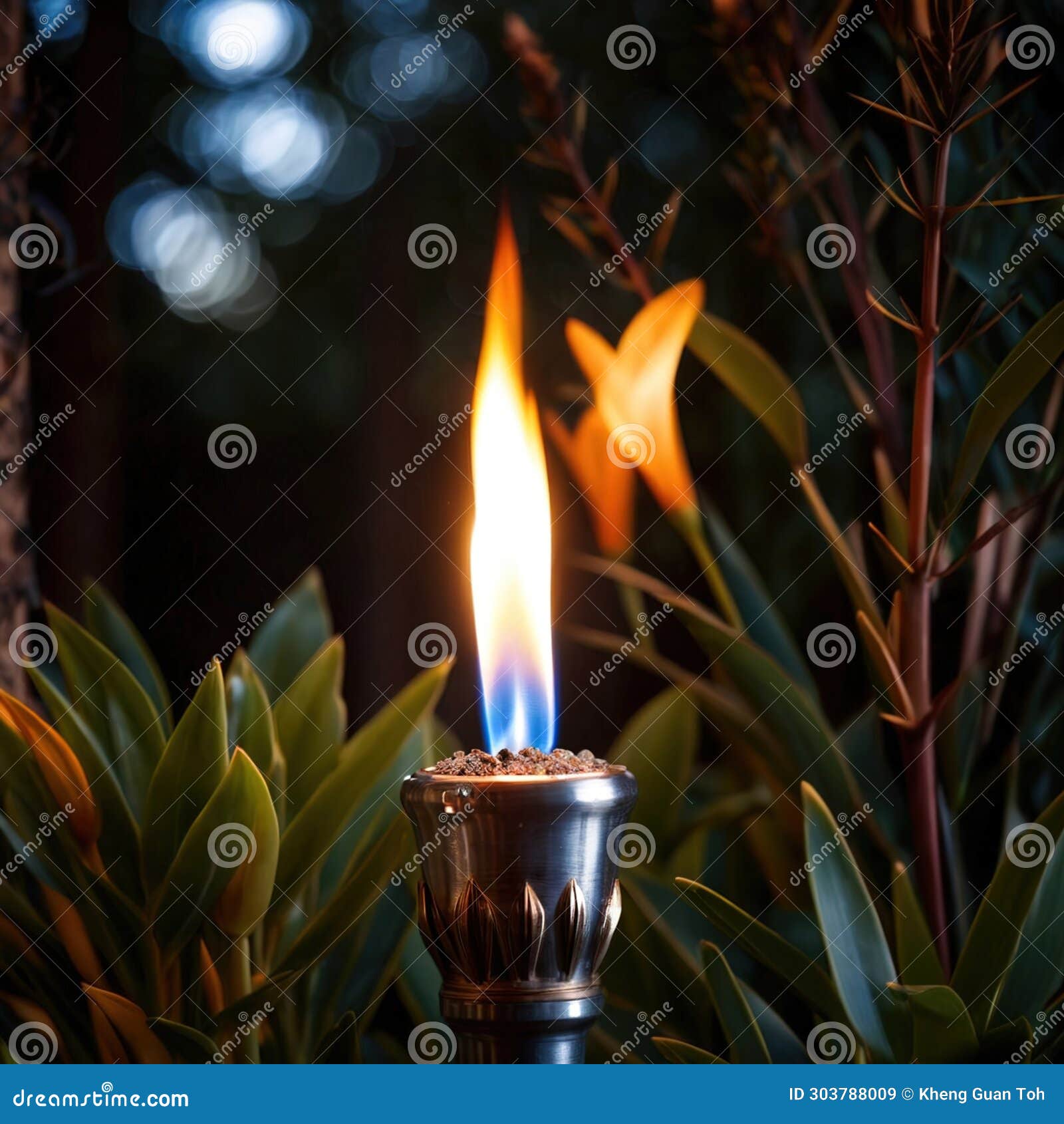 Torch , Burning Flame Tool To Create Light Stock Illustration ...
