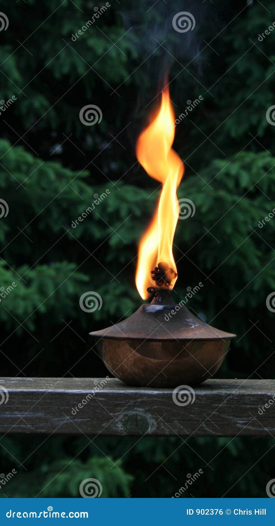 Torch Flame stock photo. Image of flames, scorching, combustion - 902376