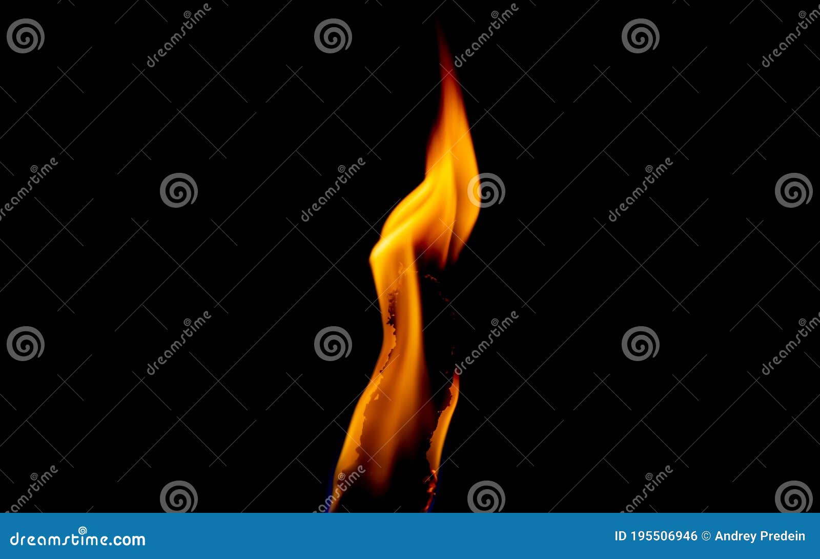 Torch flame in the dark stock photo. Image of isolated - 195506946