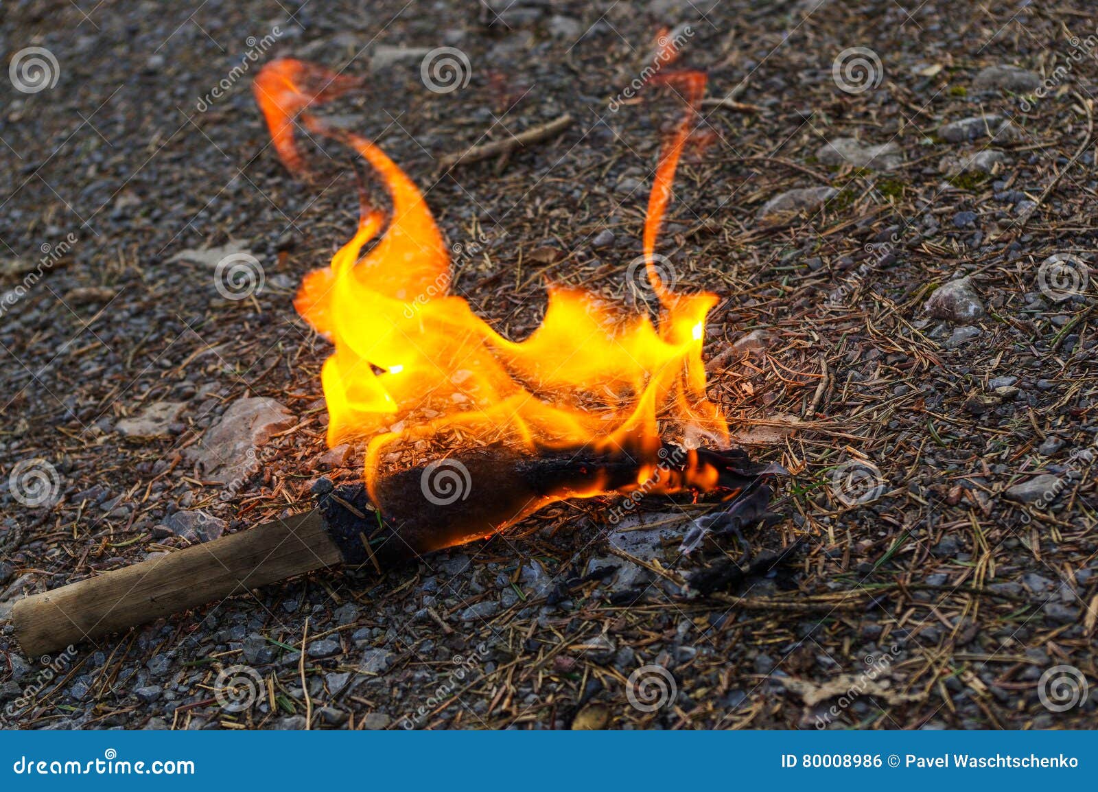 Torch Flame in Wild Nature Background. Stock Photo - Image of nature ...