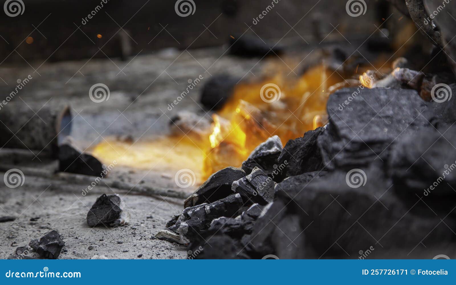 Torch lighting coal stock image. Image of night, summer - 257726171