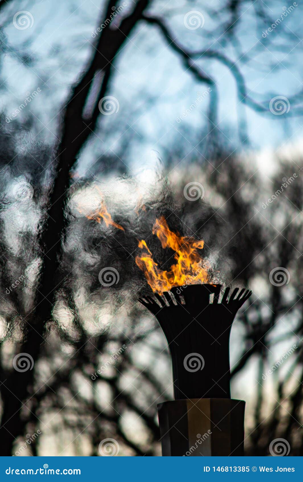 Eternal flame stock image. Image of torch, trees, park - 146813385