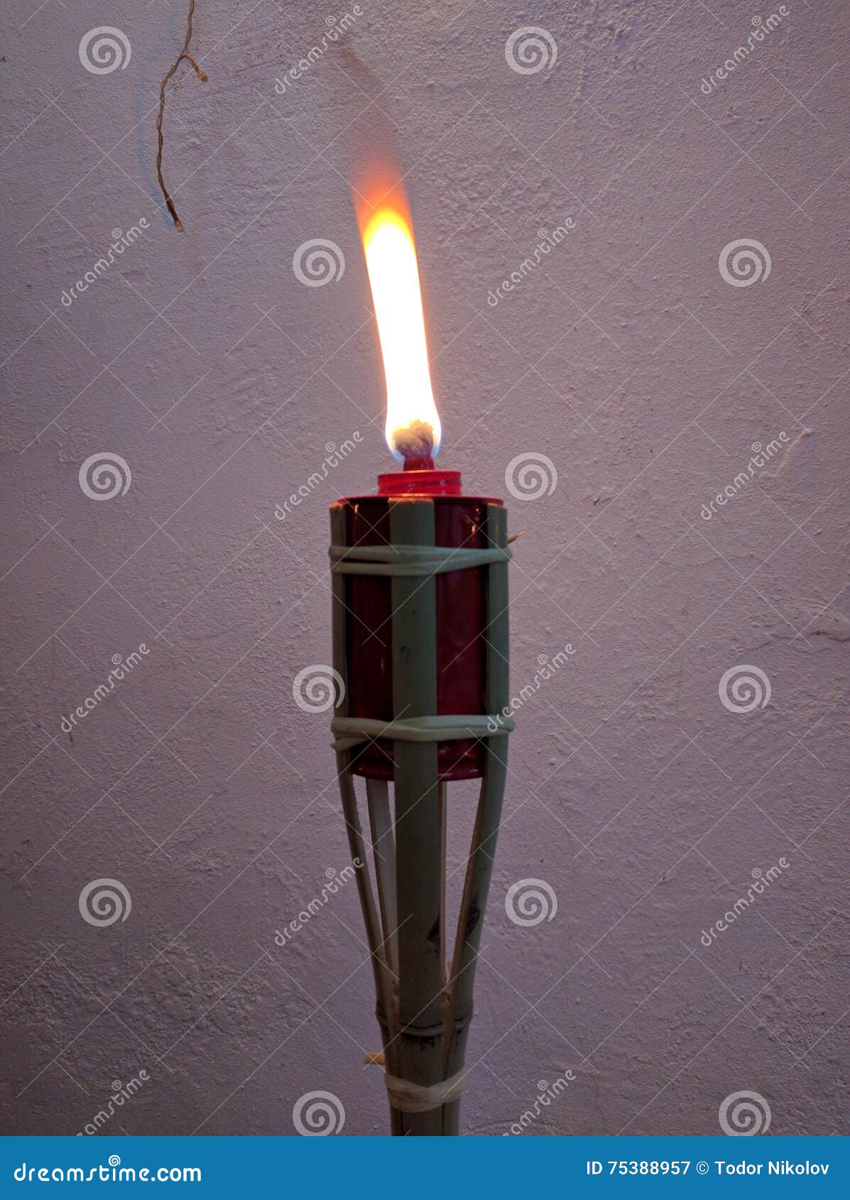 Torched stock afbeelding. Image of rook, toorts, tuin - 75388957