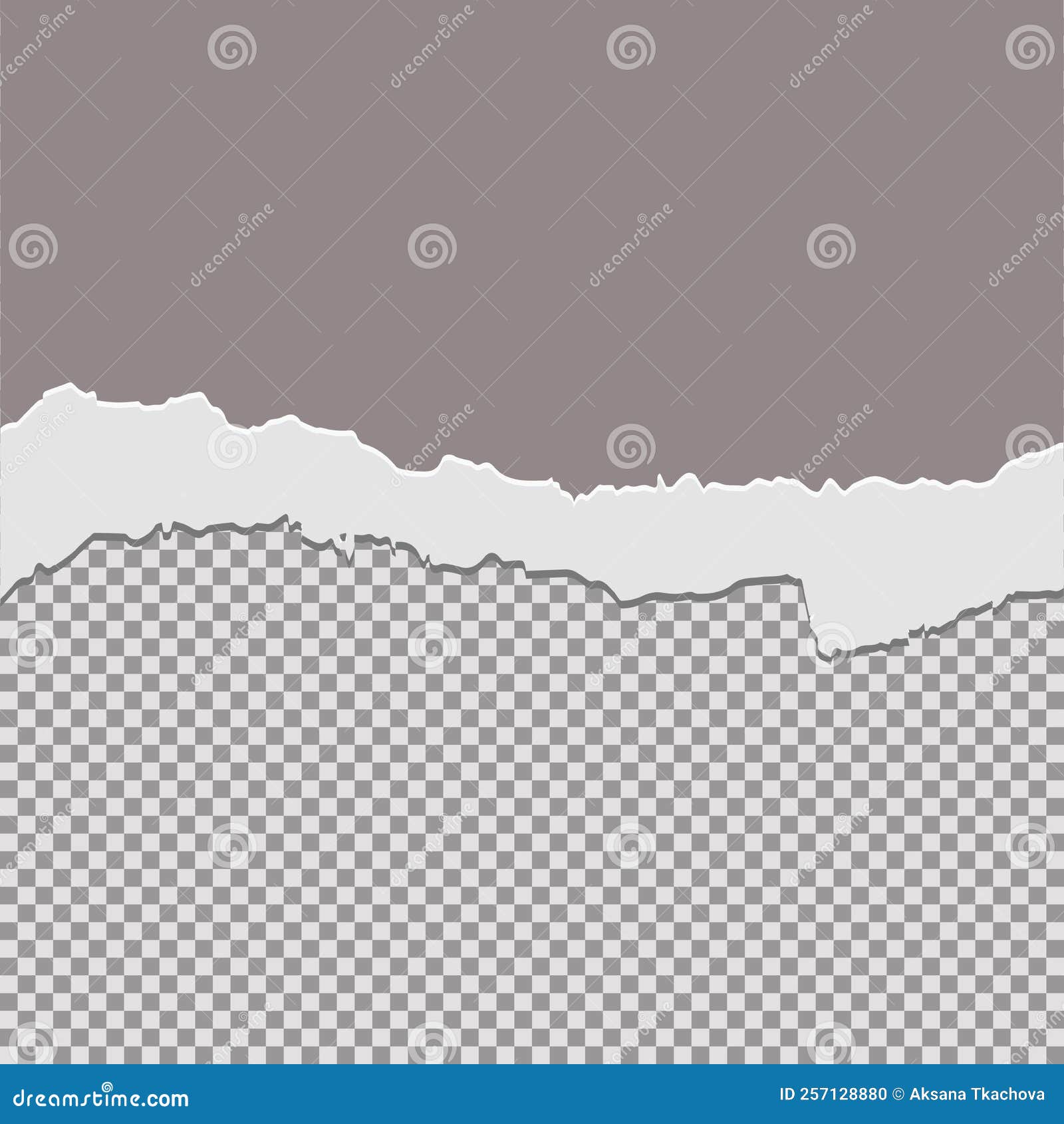 Tore Off Half A Sheet Of Gray Paper From The Top. Vector Paper Design ...