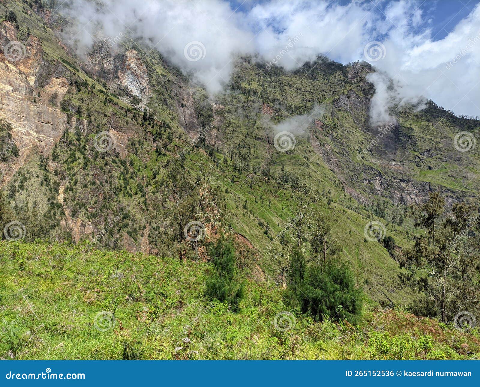 Wonderfull Mountain Hill Track Stock Photo - Image of tree, valley ...