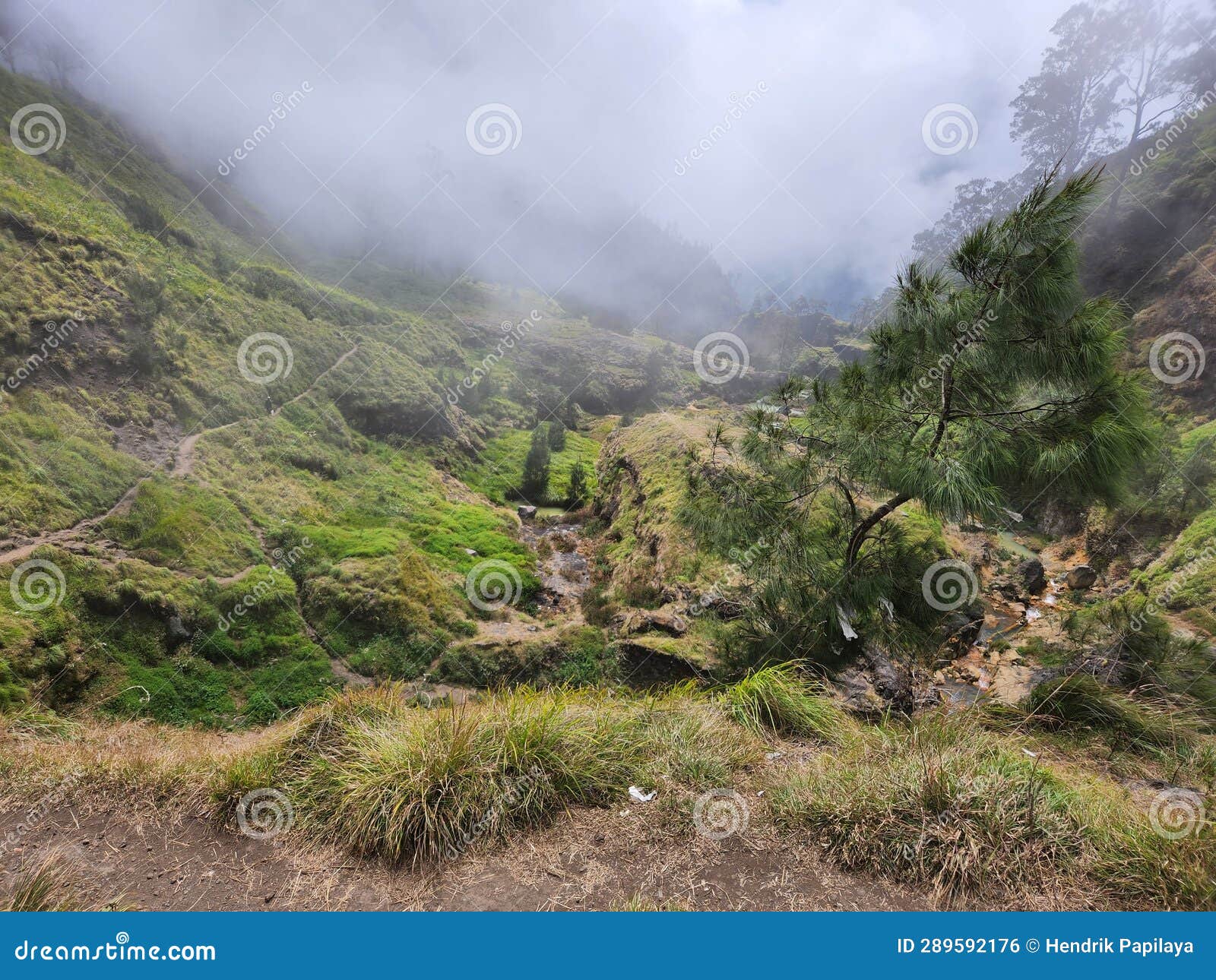 Torean Tracking Mount Rinjani Stock Photo - Image of mount, rinjani ...