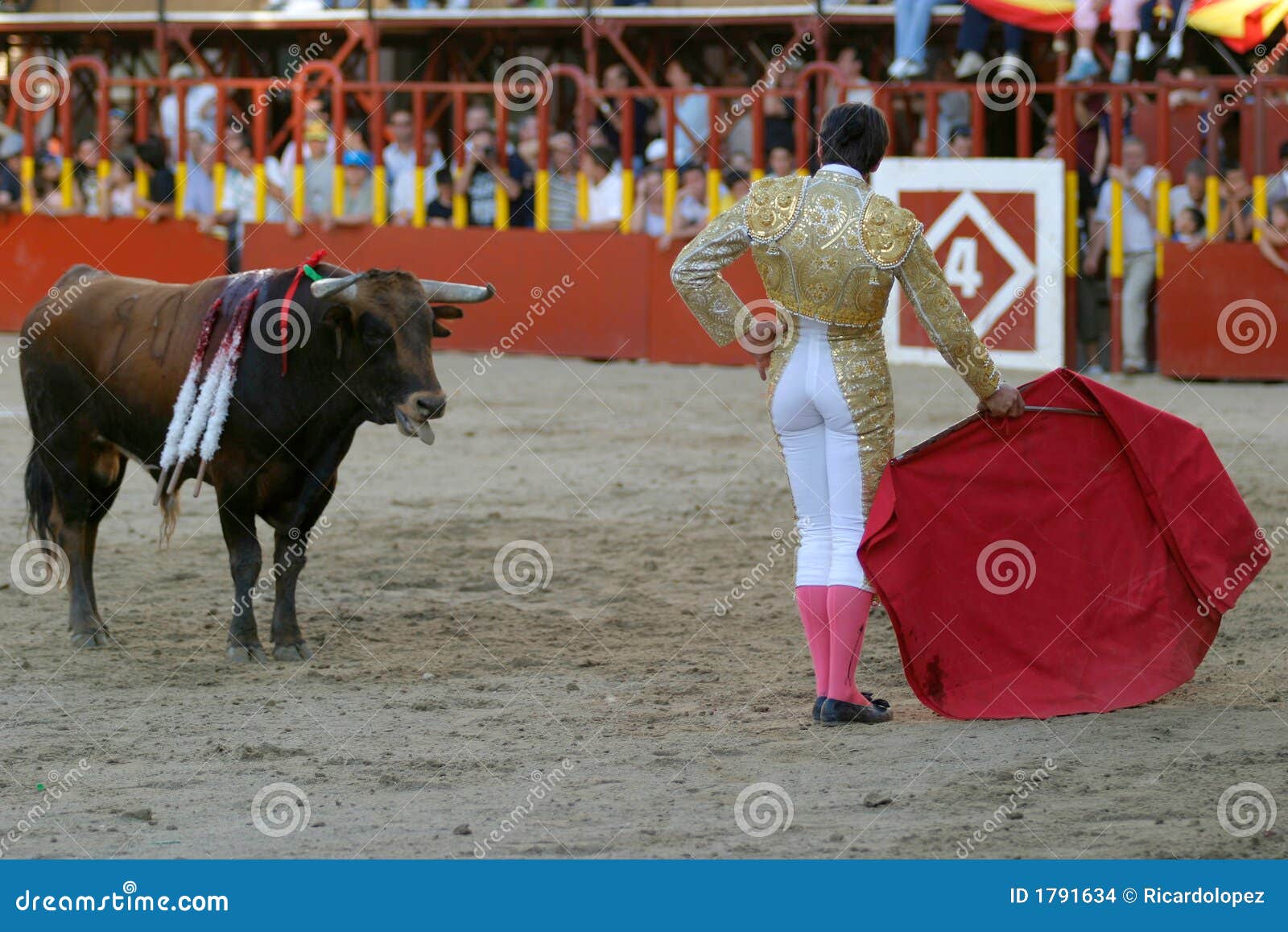 Torero photo stock. Image du type, risque, taureau, sang - 1791634
