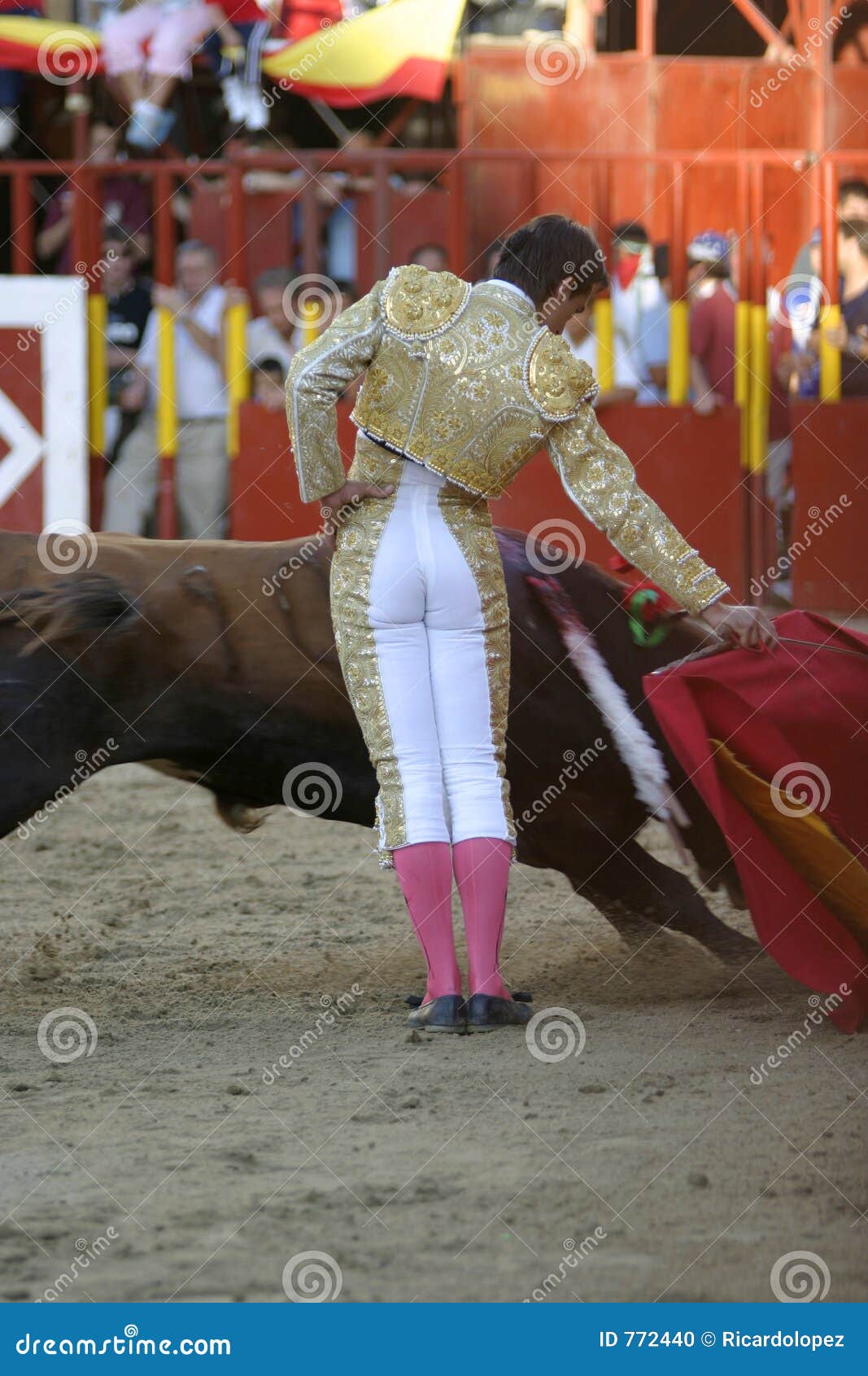 Torero and bull stock photo. Image of honor, blood, toro - 772440