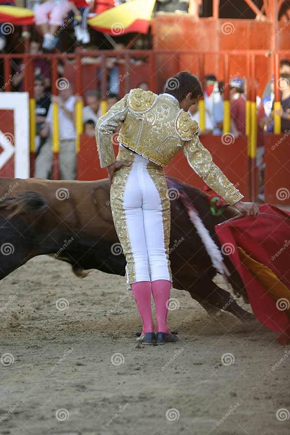 Torero and bull stock photo. Image of honor, blood, toro - 772440