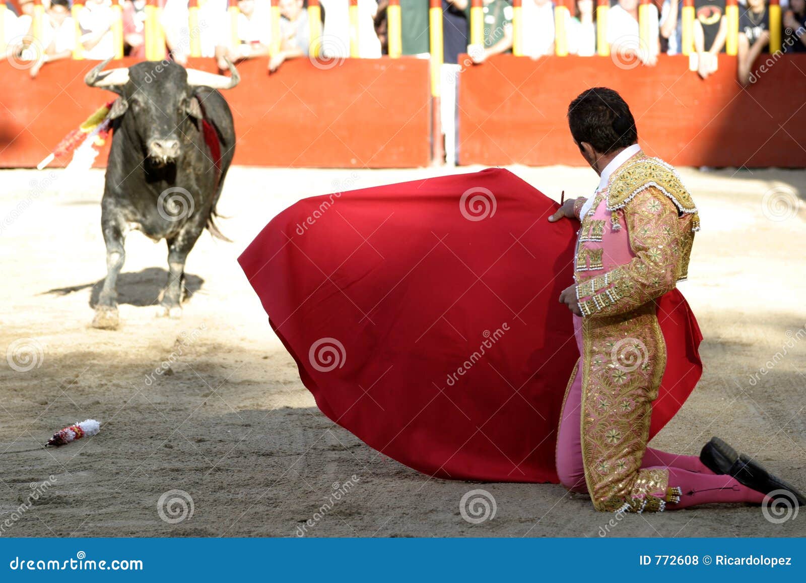 Torero dans les genoux photo stock. Image du rouge, broderie - 772608