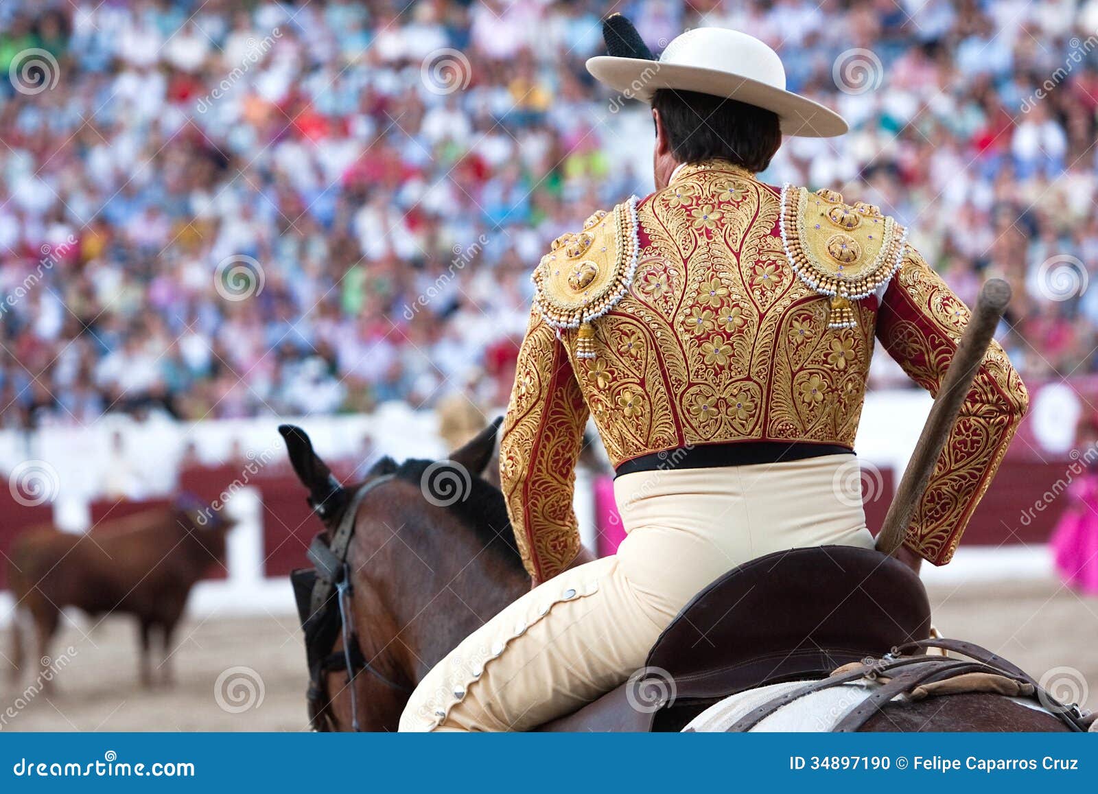 Torero del picador imagen editorial. Imagen de artista - 34897190